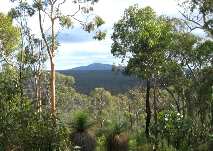 Running Brook Walk, WalkGPS bushwalk, Darling Range, near Perth ...