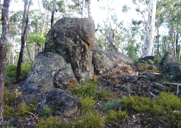 Christmas Tree Well Walk, WalkGPS bushwalk, Darling Range, Western ...