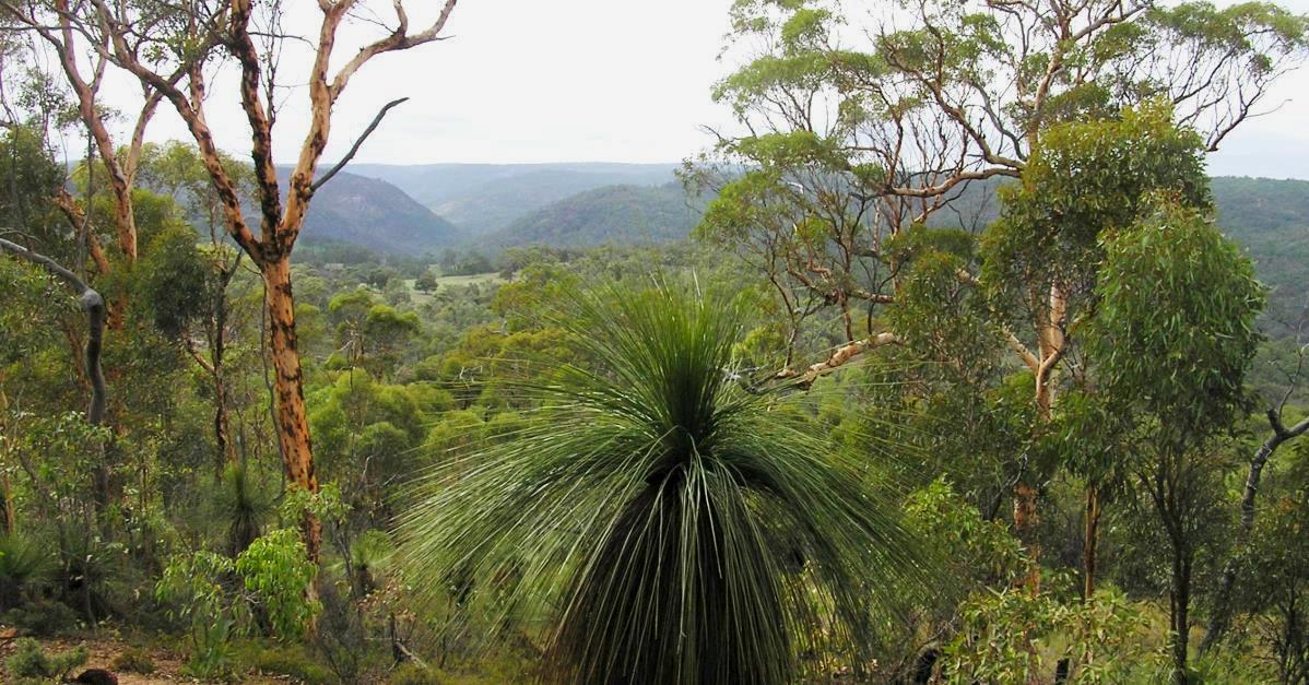 WalkGPS - Bushwalks in the Perth Region, Western Australia, Darling ...